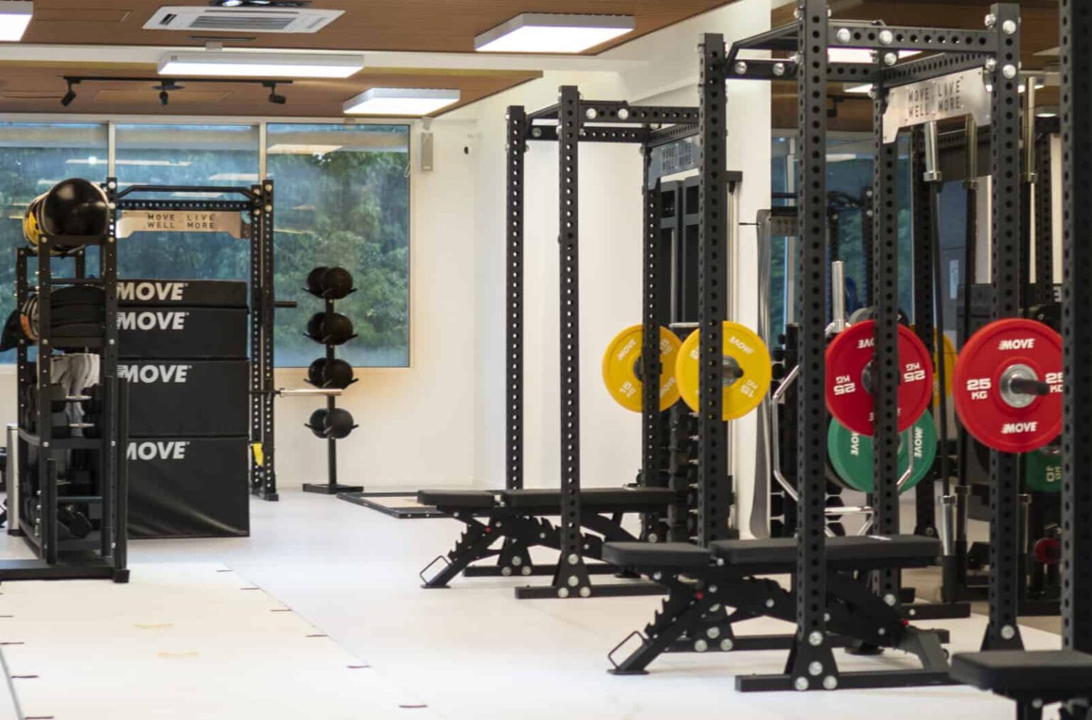 Private Gyms vs. Public Gyms: Why Personalization Matters